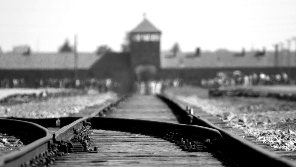 Remembering the Forgotten Victims of the Roma Genocide - 2 August marks ...